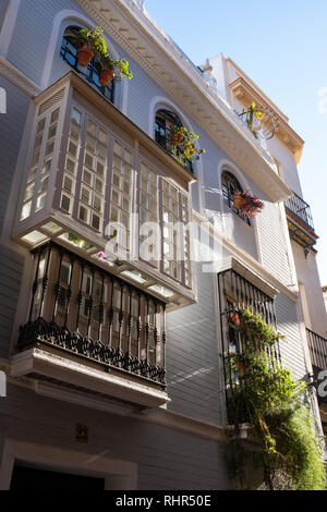 beautiful flowers in pots on the table Stock Photo - Alamy