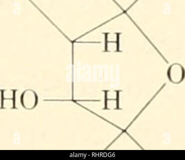 . Biochemistry of plants and animals, an introduction. Biochemistry ...
