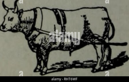 Old oxen yoke up against the wall in a barn in Nebraska Stock Photo - Alamy