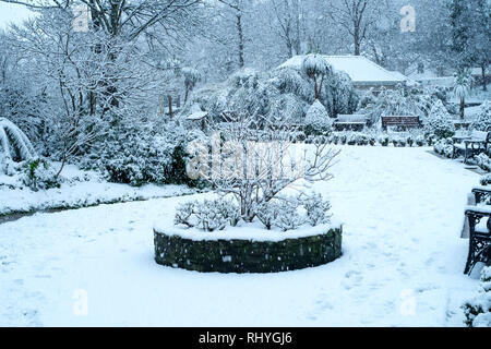 Heavy snowfall in Trenance Gardens in Newquay Cornwall Stock Photo ...