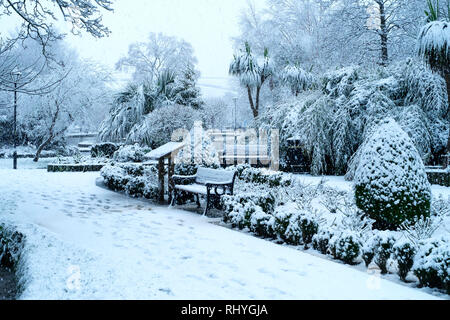 Heavy snowfall in Trenance Gardens in Newquay Cornwall Stock Photo ...
