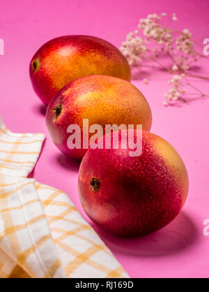 Yellow and red mangoes on pink background. Overhead shot. Exotic fruits ...