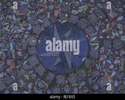 compass rose in the pavement sidewalk at junction of state street and ...