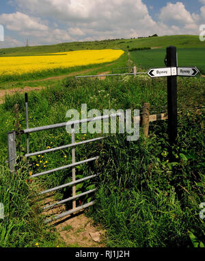 A byway junction near the Lansdowne Monument on Cherhill Hill (Oldbury ...