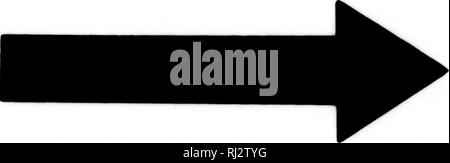 . Political essay on the kingdom of New Spain [microform] : containing ...