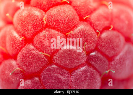 raspberry close up Stock Photo - Alamy