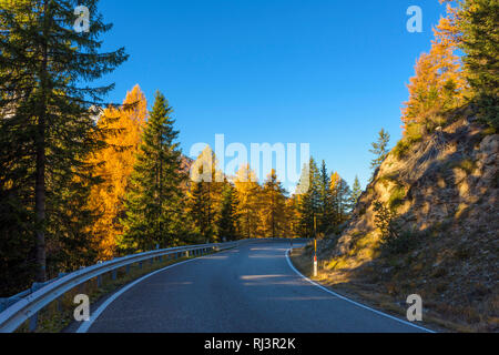 Mountain road in autumn, Vigo di Fassa, Dolomites, Trentino-Alto Adige ...