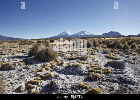 Parque Nacional Sajama Stock Photo - Alamy