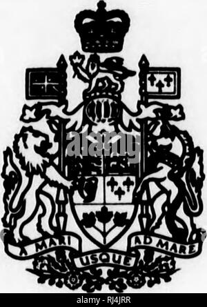 Bibliothèque nationale du Québec (Quebec national library) in downtown ...