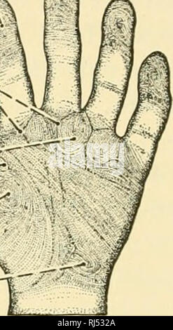 . Comparative anatomy. Anatomy, Comparative. FRICTION ::»DIGITAL PADS ...