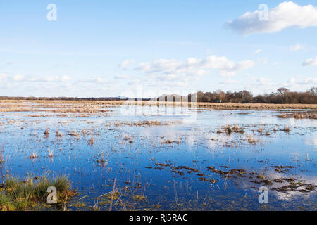 Catcott Lows Somerset Wildlife Trust Nature Reserve England Stock Photo - Alamy