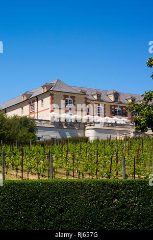 Domaine Carneros Winery in Napa Valley. California, USA Stock Photo - Alamy