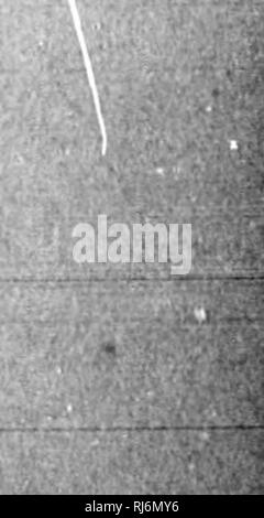 Herbert Spencer's Picture Stock Photo - Alamy