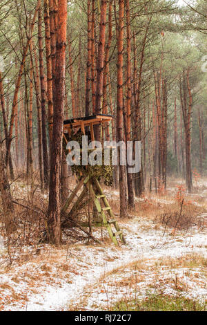 Ansitz, Hochsitz im Wald Stock Photo - Alamy