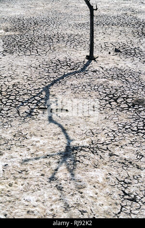Dry cracked earth. The concept of global warming Stock Photo - Alamy