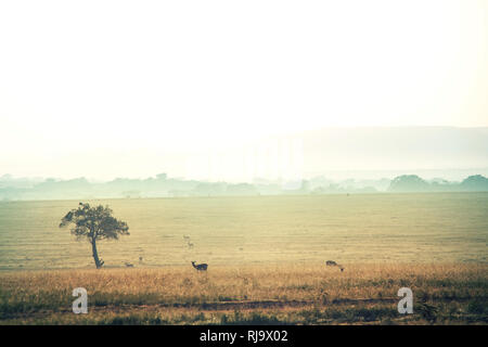 african landscapes collage Stock Photo - Alamy