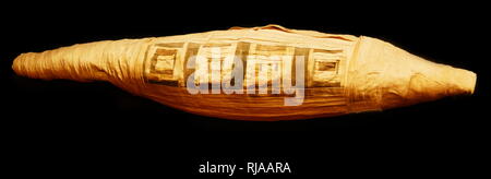 Ancient Egyptian crocodile mummy Stock Photo - Alamy