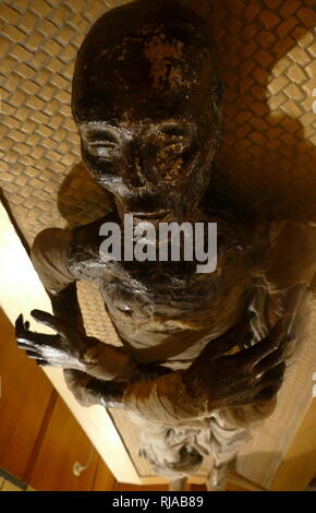 Replica of the Mummy of King Tutankhamen, who ruled over Ancient Egypt ...
