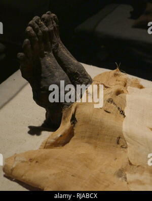 Mummy of Menpehtyre Ramesses I (Ramses), the founding pharaoh of ...