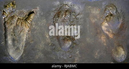 Laetoli footprints Tanzania Stock Photo - Alamy