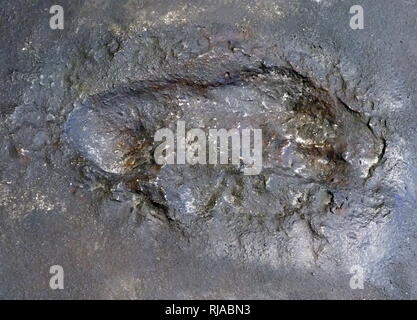 Laetoli footprints Tanzania Stock Photo - Alamy