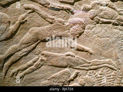 Palace of Ashurbanipal, Nineveh. Iraq. Relief, return of the hunters ...
