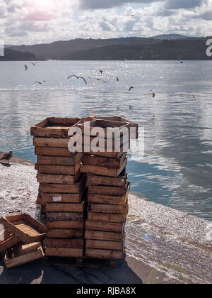 Wooden fish crates Stock Photo - Alamy