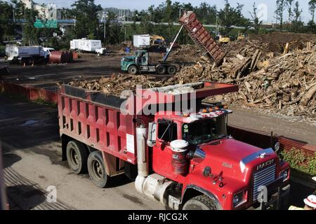 Vegetative debris from Hurricane Maria is collected and processed at ...