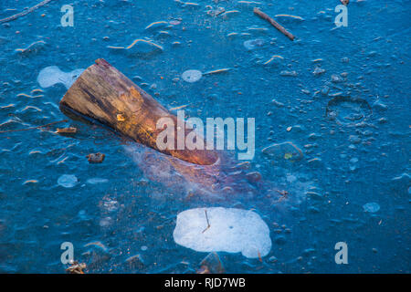 Tree trunk floating on a frozen lake Stock Photo - Alamy