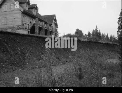 . The need for stream vegetated buffers [electronic resource] : what ...