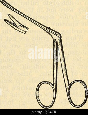 . The Cattle grubs or ox warbles, their biologies and suggestions for ...