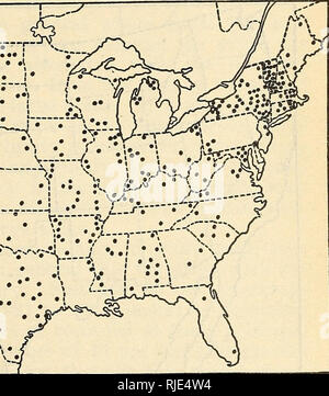 . The Cattle grubs or ox warbles, their biologies and suggestions for ...