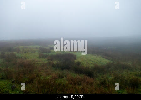 Scenic view of an old swamp shack on stilts in Caddo Lake, on the Texas ...