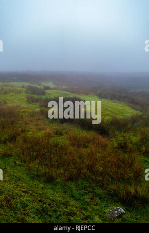 Scenic view of an old swamp shack on stilts in Caddo Lake, on the Texas ...