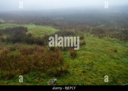 Scenic view of an old swamp shack on stilts in Caddo Lake, on the Texas ...