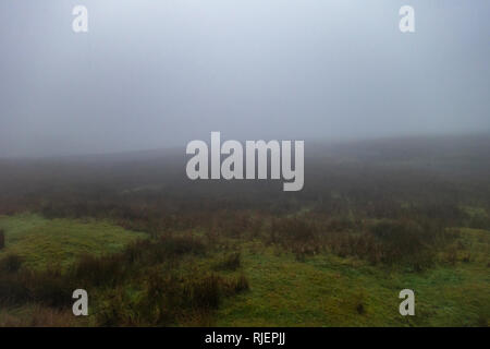 Scenic view of an old swamp shack on stilts in Caddo Lake, on the Texas ...