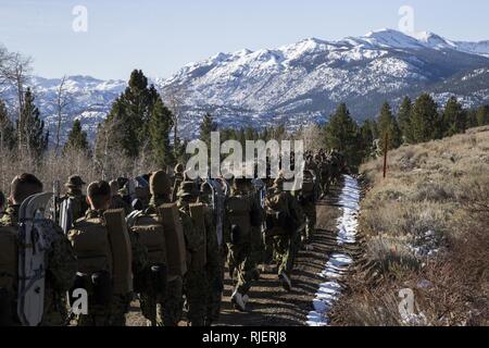 Marines with Combat Logistics Regiment 25, 2nd Marine Logistics Group ...