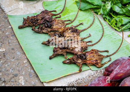 Grilled rice field rats on banana leaf in the morning market Stock ...