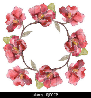 Red camelia floral botanical flower. Wild spring leaf wildflower ...