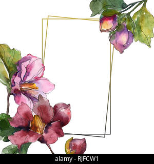 Red purple camelia floral botanical flower. Wild spring leaf wildflower ...