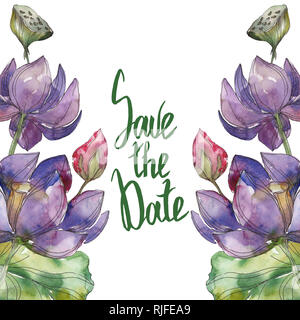 Pink and purple lotus foral botanical flower. Wild spring leaf ...