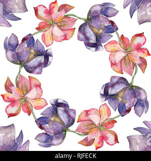 Pink and purple lotus foral botanical flower. Wild spring leaf ...