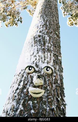 face on a tree trunk with snow as nose and stick as mouth, Germany ...