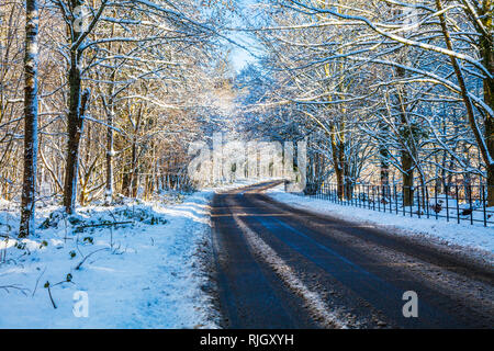 A narrow country lane in the snow Stock Photo: 23193814 - Alamy