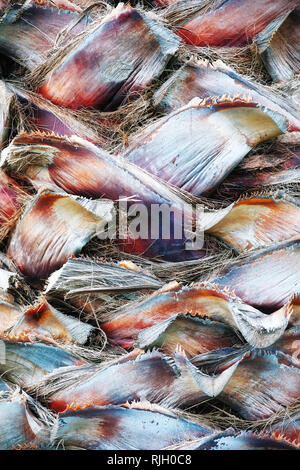 Detail close up of textured and colorful brand new fabric Stock Photo ...