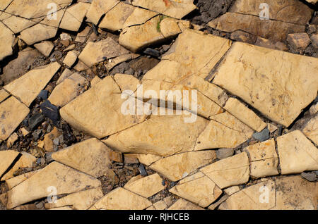 Cracks and fissures in an exposed shale outcrop create beautiful and ...
