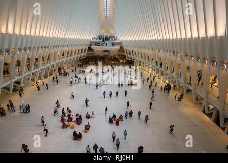 Oculus station in Lower Manhattan, the World Trade Center Stock Photo ...