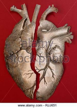 An illustration of an anatomical heart that has been torn in two Stock ...