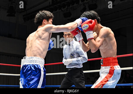 Tokyo, Japan. 6th Feb, 2019. Masahiro Tanaka (JPN) Boxing : Masahiro ...