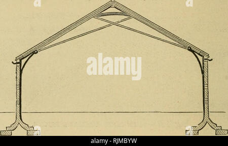 Tree Supports-young trees being supported by wooden stakes Stock Photo ...